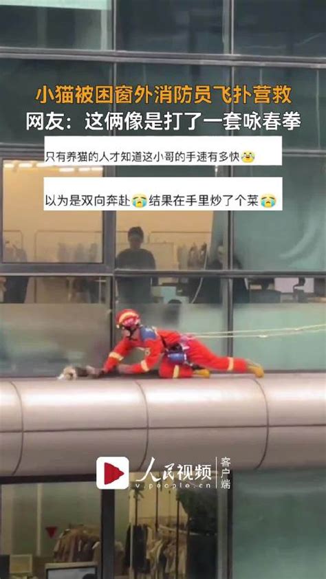 小猫被困窗外消防员飞扑营救手机新浪网