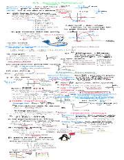 Understanding Quadratic Functions And Parabolas In Mathematics Course Hero