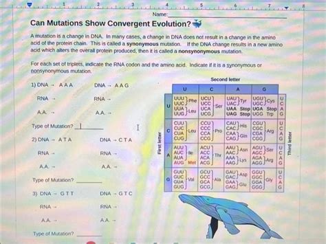 Solved Can Mutations Show Convergent Evolution A Mutation
