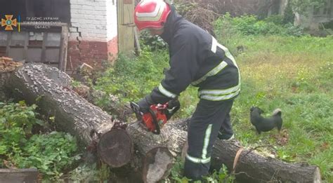 Рятувальники Кіровоградщини прибрали аварійні дерева Златопіль