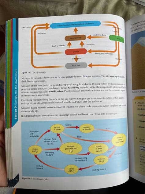 Igcse Biology Revision Guide 興趣及遊戲 書本 And 文具 教科書 Carousell