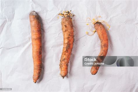 공예 종이 배경에 못생긴 모양의 당근 제로 폐기물 생산의 개념 맨 위 보기 공간을 복사합니다 비 Gmo 야채 개념에 대한 스톡 사진 및 기타 이미지 Istock