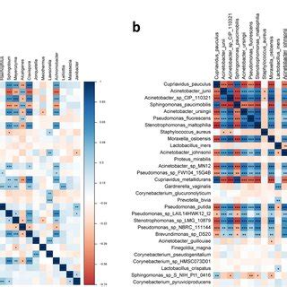 Heatmap Of Spearman Correlation Analysis Of The Top 30 Most Abundant