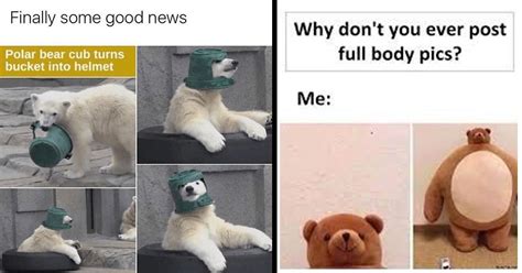 Funny Teddy Bear Memes