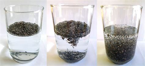 Chia Seed Consumption