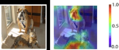 A Saliency Map Visualization For The Sample Image Sample Image Taken Download Scientific