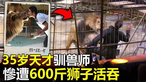 35岁天才驯兽师，惨遭600斤狮子“活吞”游客被血腥画面吓尿，尖叫声充满整个场馆動物 腦洞大開 世界之最 Top 动物 災難 出