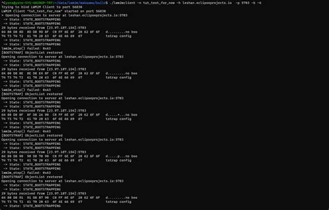 How To Connect To Leshan Server Issue Eclipse Wakaama Wakaama