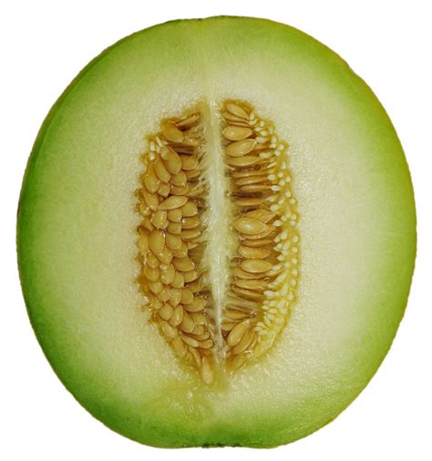 Como capar melones HuertaYcocinaExtremeña