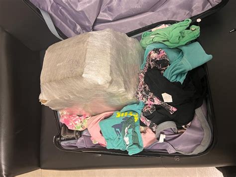 Pf Prende Homem Com 10 Kg De Droga No Aeroporto De Brasília
