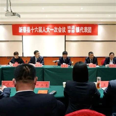 邵奉公、李勇等县领导参加人大代表分组审议发展新蔡县桂兆权