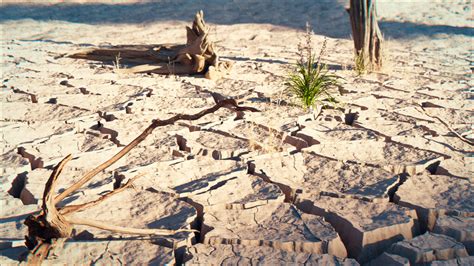 Creating Realistic Land Cracks Procedurally Tutorials Tips And Tricks Blender Artists Community