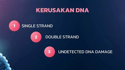 Ppt Dna Repairpptx