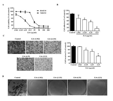 Effect Of Eav On Cell Viability Adhesion Invasion And Colony
