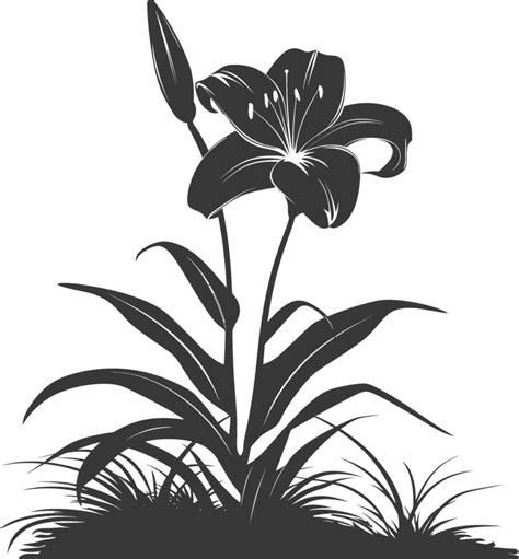 Ai Generated Silhouette Lily Flower In The Ground Black Color Only