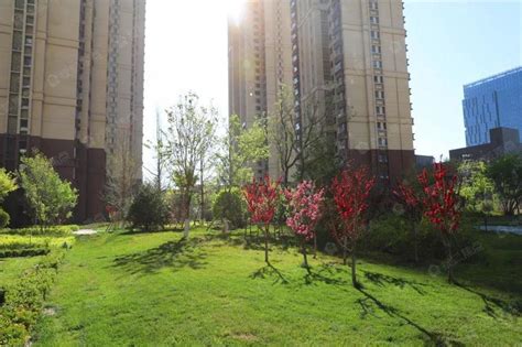 嘉禾直隶新城实景图嘉禾直隶新城环境怎么样 保定搜狐焦点网