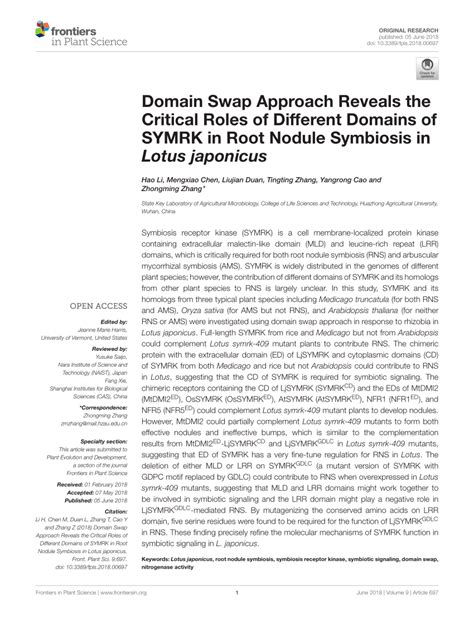 Pdf Domain Swap Approach Reveals The Critical Roles Of Different