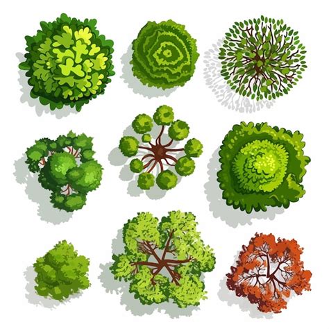 A Collection Of Different Types Of Green Vegetables Premium AI