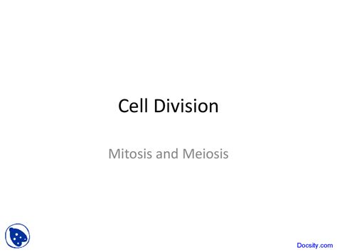 Mitosis And Meiosis Fundametnals Of Biology Lecture Slides Slides Biology Docsity