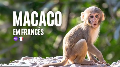 Como Pronunciar O Alfabeto Em Francês