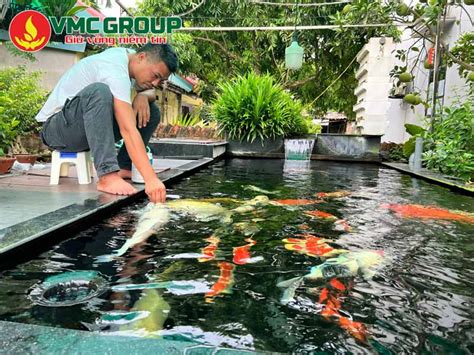 C Ch D Ng Vitamin C Cho B C C Nh H A Ch T Vi T M Qu Ng Ninh Gi R Vmcgroup