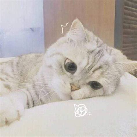 Trần ĐứcÝ Medium