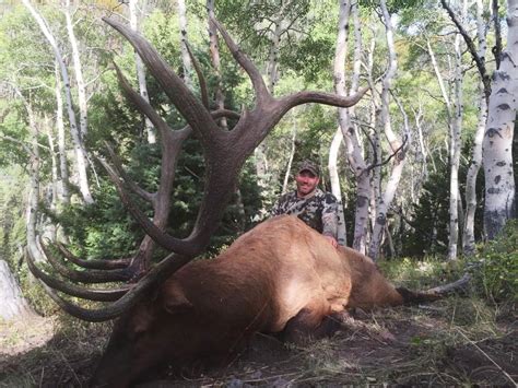 2020 Utah Beaver Unit Elk Conservation Permit Multi Season