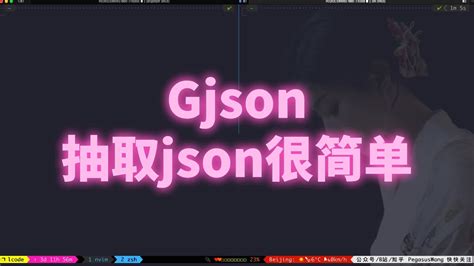Golang用gjson快速抽取json数据 Youtube Golang用gjson快速抽取json数据 Youtube