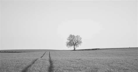 data pipeline monitoring vs data quality monitoring what s the