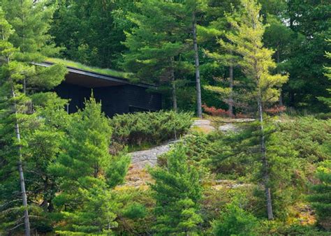 Ian Macdonald Hides Ontario Island Cottage Within A Forest