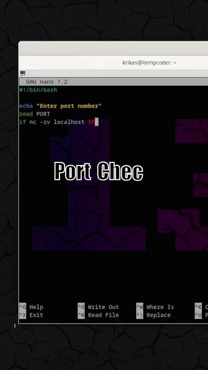 Basic Bash Scripting Check If Port Is Open Begginers Bash
