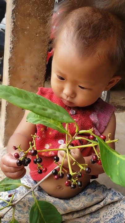 Aib Oo Nj Txiv Os Youtube