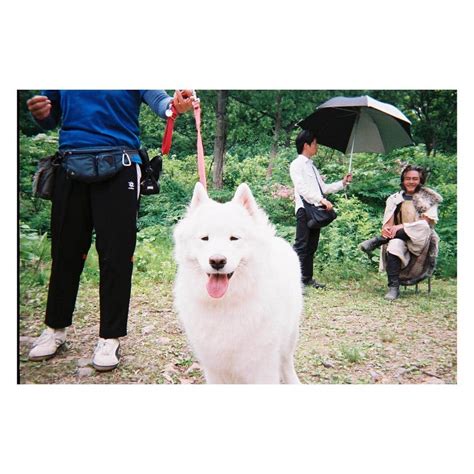 木南晴夏さんのインスタグラム写真 木南晴夏Instagram 今夜のヨシヒコも お楽しみに サモンとは 犬飼さんちの犬からの 再共演