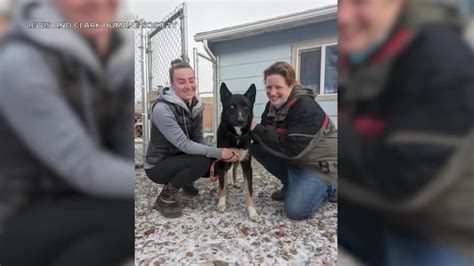 Dog Finds Forever Home After 676 Days At Helena Shelter Youtube