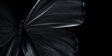 Mariposa Onlyfans U Review Leaks Videos Nudes
