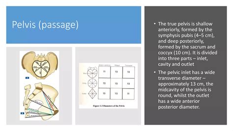 The First Stage Of Labour Poor Progression Of Labour And Augmentation