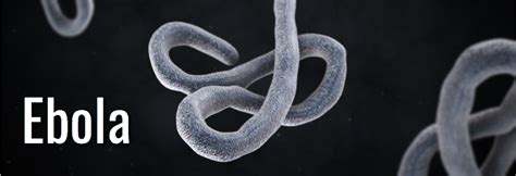 The Worlds Deadliest Diseases How Is Biotech Fighting Them