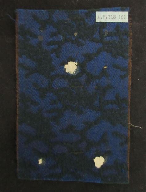 Vesting Vanda Explore The Collections