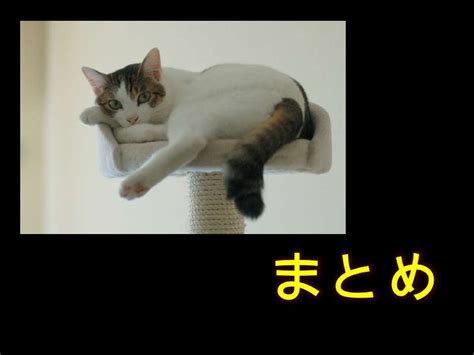 Aspnet Mvcとentity Frameworkで作ってみた