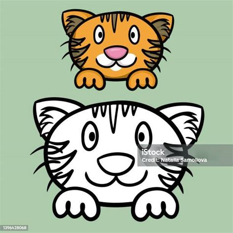 색상 및 스케치 드로잉 집합입니다 귀여운 줄무늬 만화 오렌지 새끼 고양이 모양과 미소 발이있는 고양이 얼굴 벡터 가축에 대한