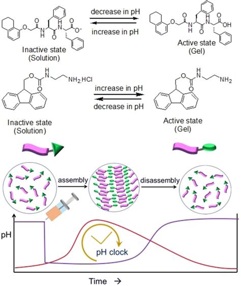 Urea‐urease Reaction In Controlling Properties Of Supramolecular