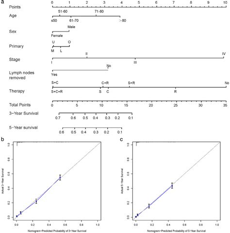 Nomogram And Overall Survival Nomogram Calibration Curves A Nomogram