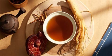 Learn How To Grow Cordyceps Mushrooms Zamnesia Usa