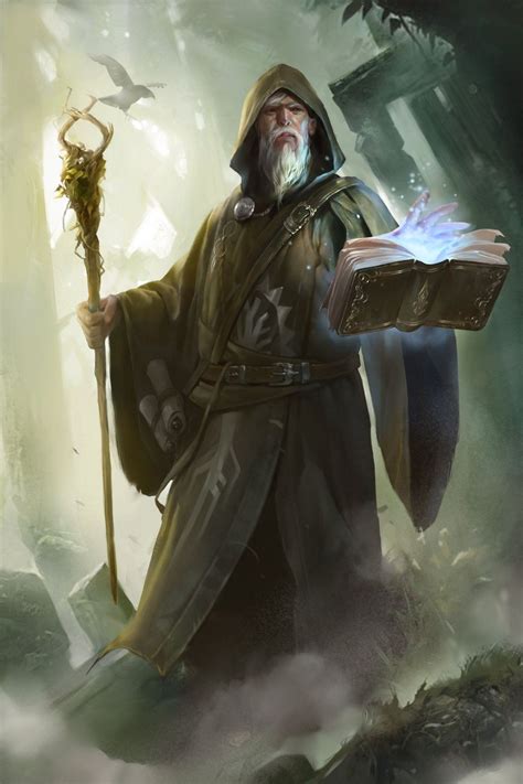 Mage Class The Authentic Dandd Wiki