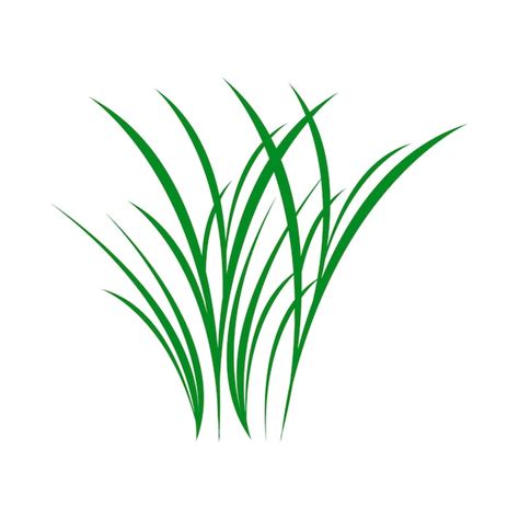Premium Vector Bunch Of Green Grassvector Illustration Isolated On
