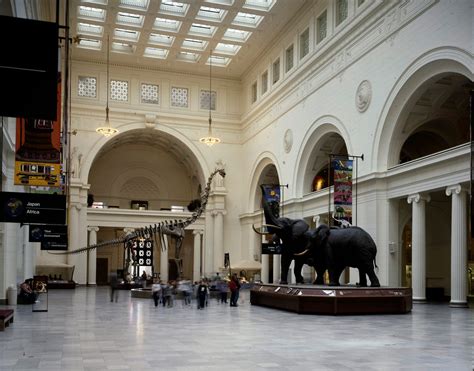 Brachiosaurus Altithorax Mounted Inside The Field Museum Redux