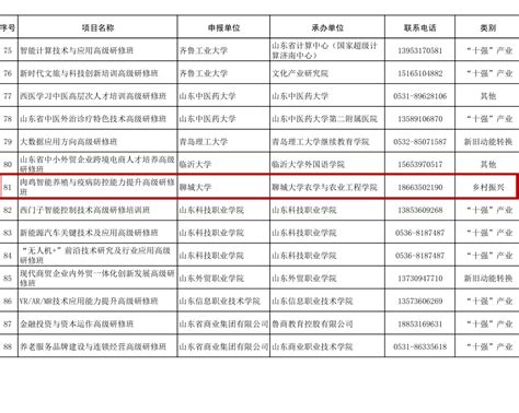 新闻网新版