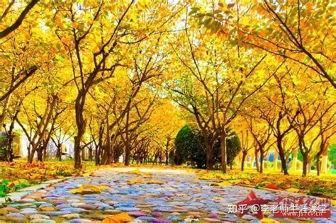 南京一所军校部分省份475分就可以被录取毕业包分配 知乎