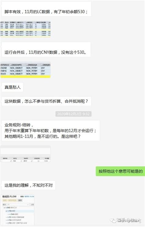 Johnson82完成他的第一个sap Bpc合并项目 知乎
