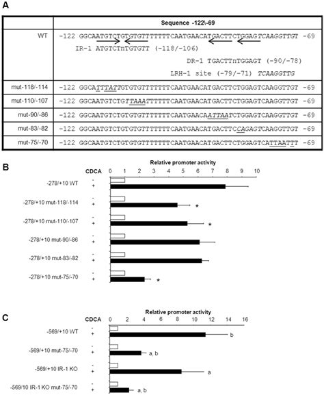 The Lrh 1 Site Is Required For Fxr Induced Expression Of Shp A Shows Download Scientific